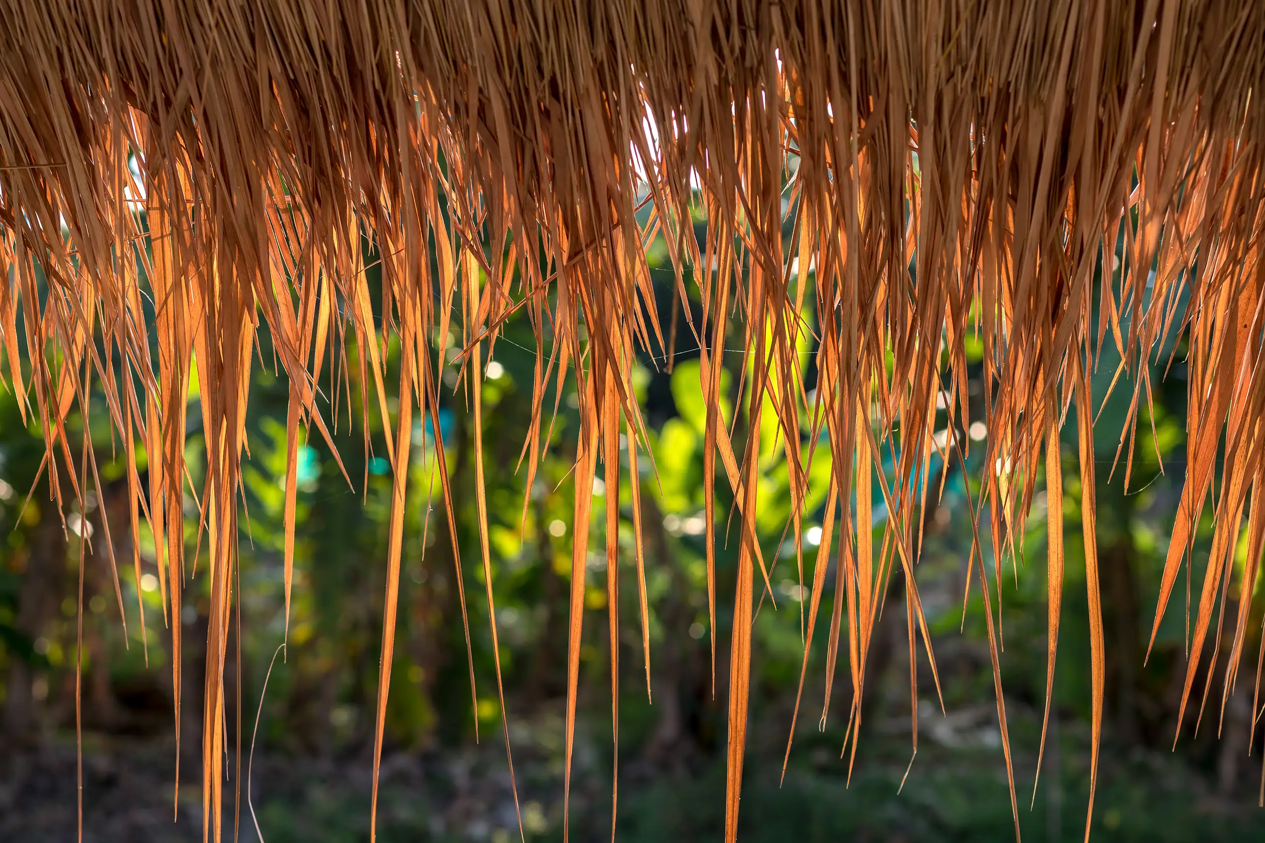 Thatching Services – Iconic Pools